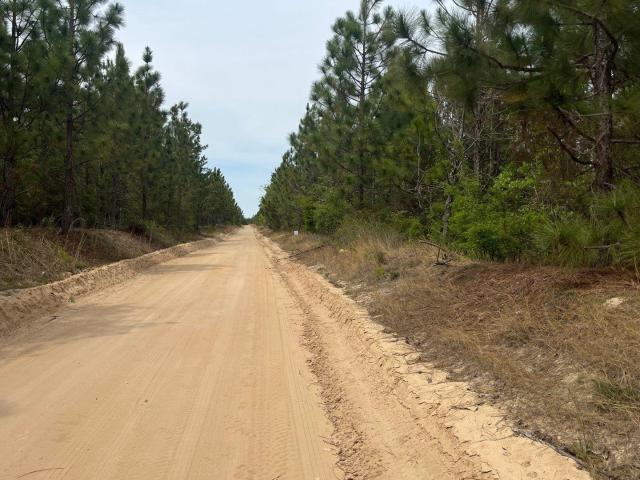 BDF 6 Beaverdam Road Lot BDF 6