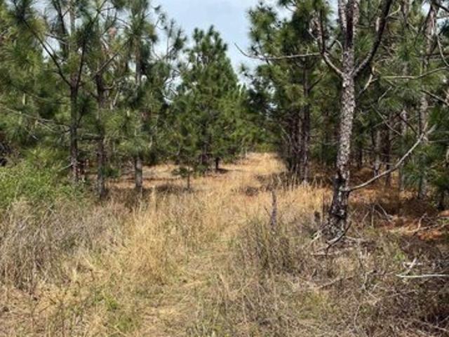 Bdf 6 Beaverdam Rd, Cassatt, SC 29032