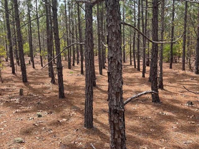 BDF 8 Beaverdam Road Lot BDF 8