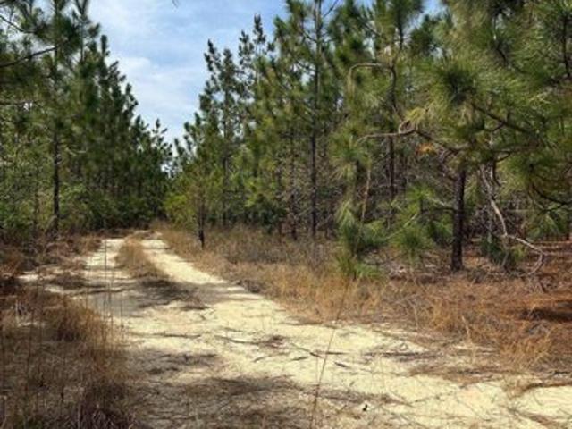 Bdf 9 Beaverdam Rd, Cassatt, SC 29032