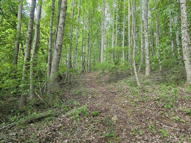 Bent Nail Rd, Hillsville, VA 24343