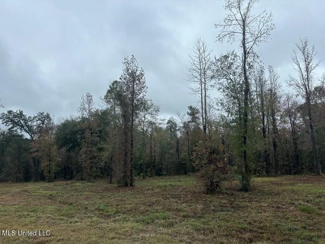 Bent Creek, Carriere, MS 39426 | MLS #4139 | Compass