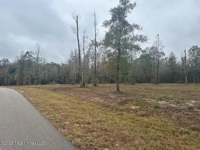Bent Creek, Picayune, MS 39466