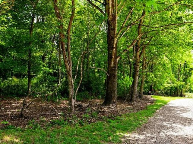 Bent Rd Lot 4413 1, Meadows Of Dan, VA 24120
