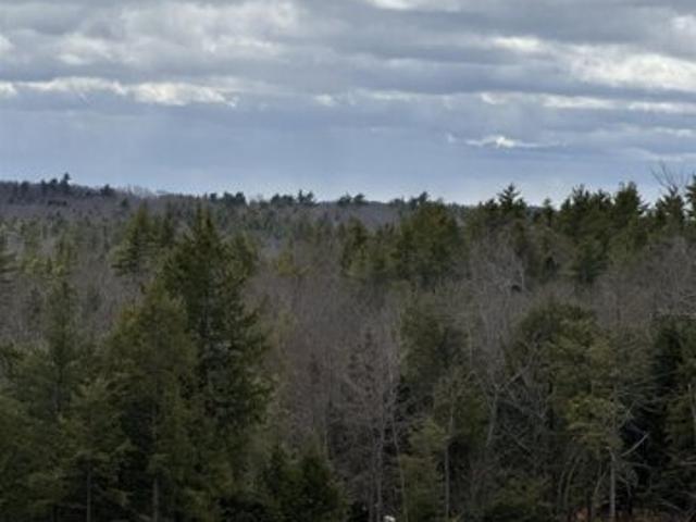 Bentley Cir Lot,candia, Plot For Sale