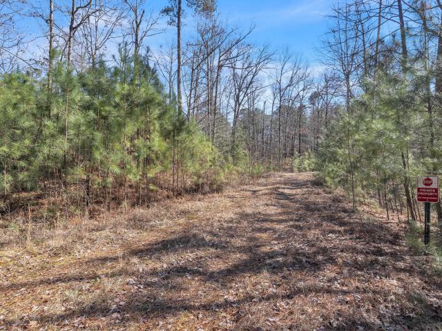 Benttree Trl, Columbus, MS 39705