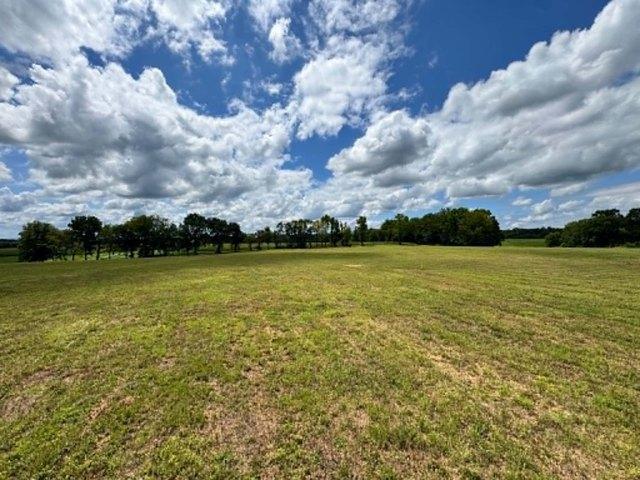 Ben Armstrong Rd, Castalian Springs, TN 37031