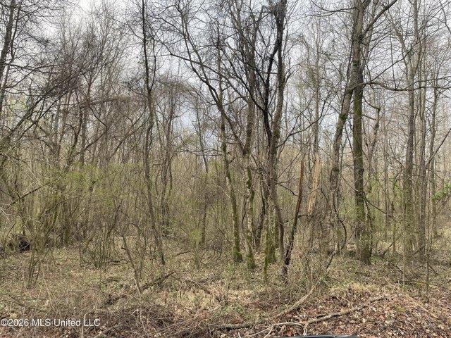 Bend Rd, Coldwater, MS 38618