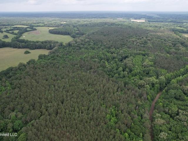 Bend Rd, Vaughan, MS 39179