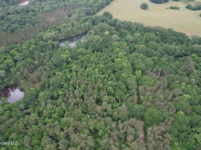 Bend Road, Vaughan, MS 39179