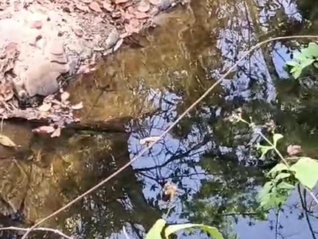 BENDO BELÍSSIMA CHÁCARA NA DF 190 UM LUGAR P/VC E SUA DESCANSAR AOS FINAIS DES!