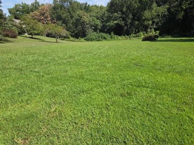 Bennett Ave, North East, MD 21901