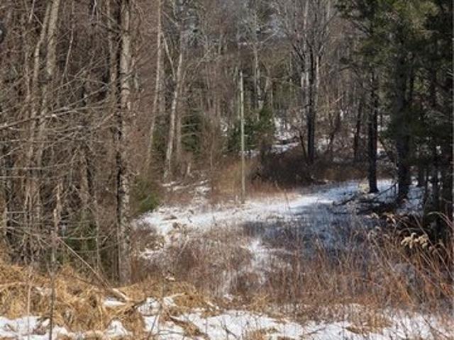Bennett Ln, Sparta, NC 28627