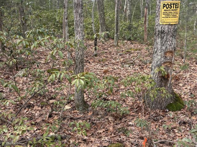 Bennett Rd, Napanoch, NY 12458 | MLS #976309