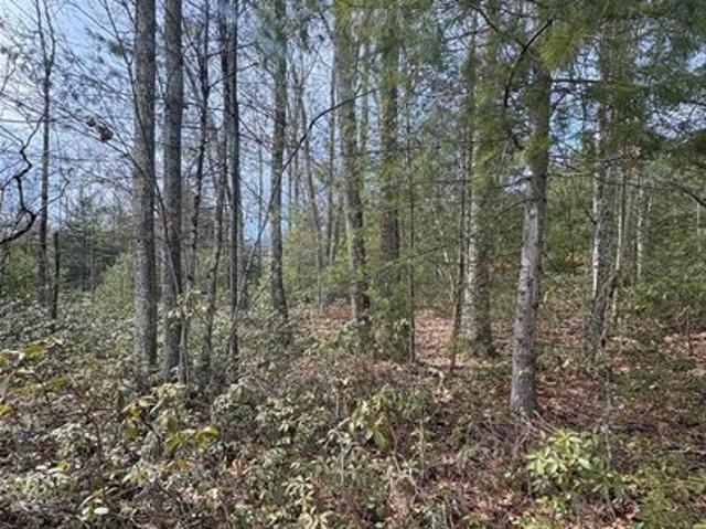 Bennett Rd, Napanoch, NY 12458