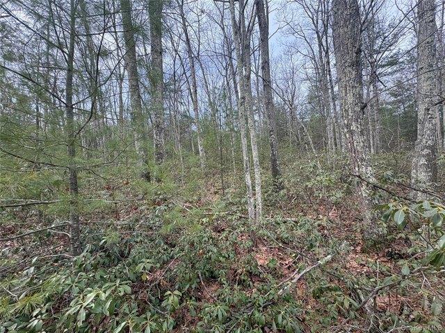 Bennett Rd, Napanoch, NY 12458