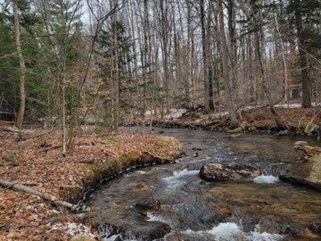 Bennington VT 05201 104571558