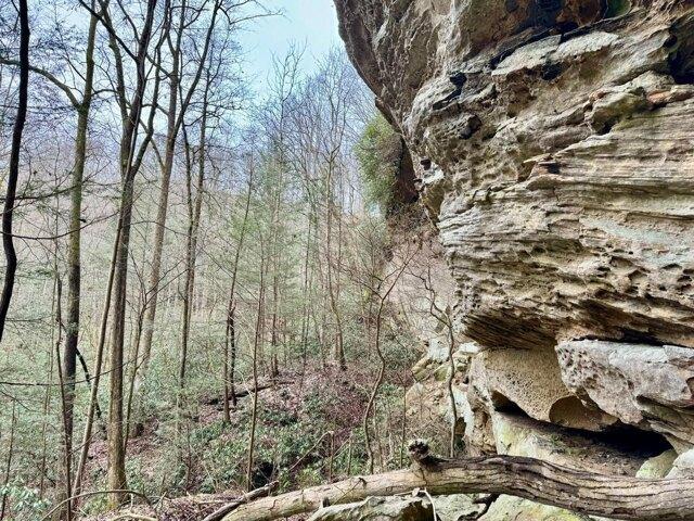 Beattyville KY 41311 89484571
