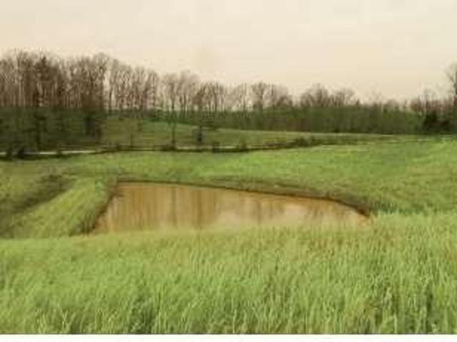 Beattyville, KY Lee Country Land 246.00 acre for sale in Beattyville, Kentucky