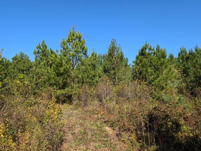 Beatty Rd, Waverly, OH 45690