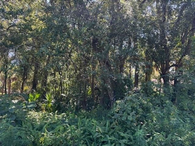 Beau Ct, Orange City, Plot For Sale