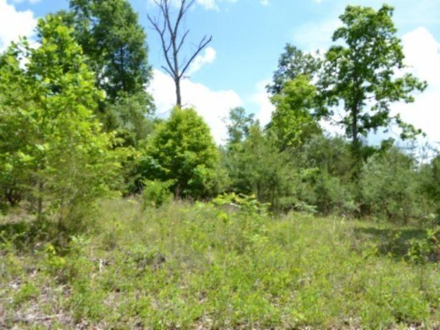 Beauchamp Rd, Burkesville, KY 42717