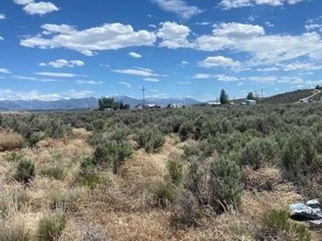 Beauregard Ave, Spring Creek, NV 89815