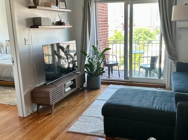 Beautiful 1 Bedroom Apartment Long Island City