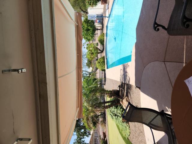 BEAUTIFUL clean house with pool and loving dogs