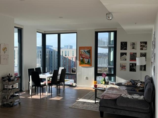 Beautiful apartment in Rosslyn, VA: looking for one more roommate