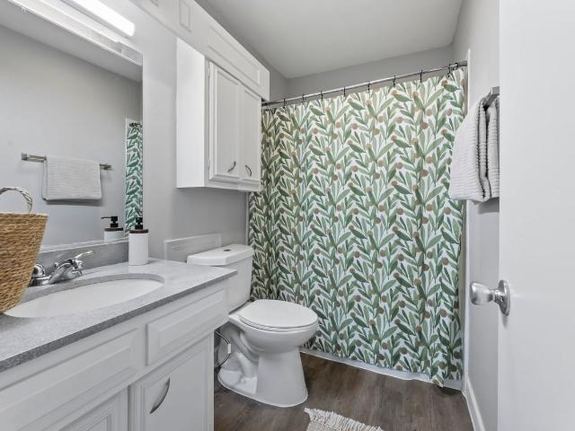 Beautiful Apartments in the heart of Brookside 1 Bedroom Apartment for Rent at 1404 E 41st St, Tulsa, OK 74105