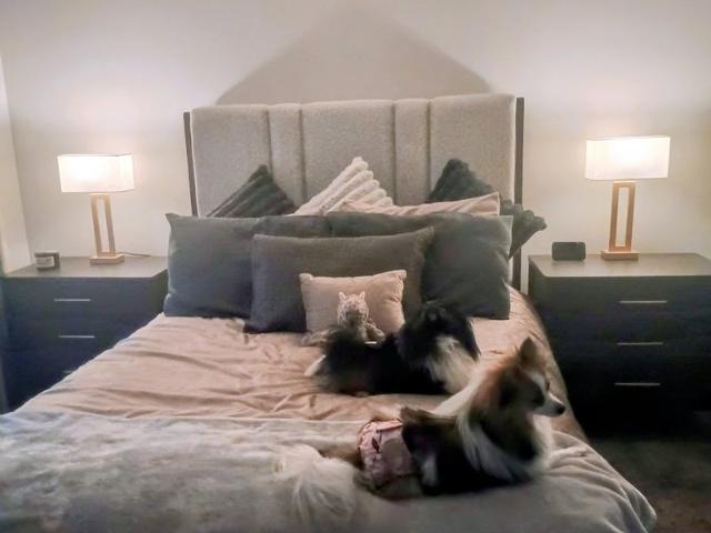 Beautiful furnished bedroom with full bath