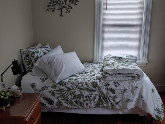 Beautiful furnished Room