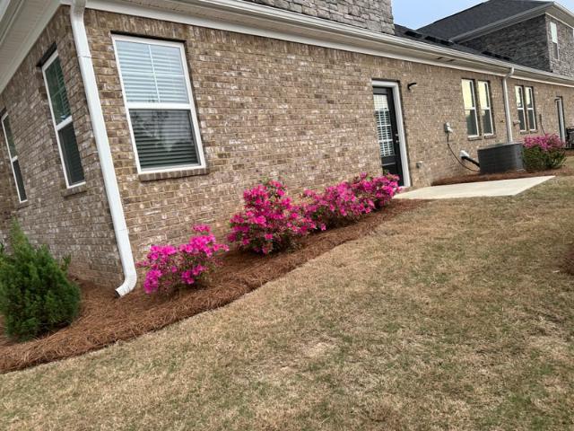 Beautiful house available for rent in Loganville G