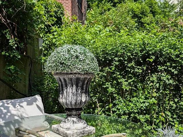 Beautiful outdoor yard, come enjoy!
