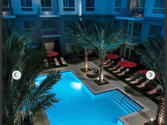 Beautiful Luxury Apartment Available To Share