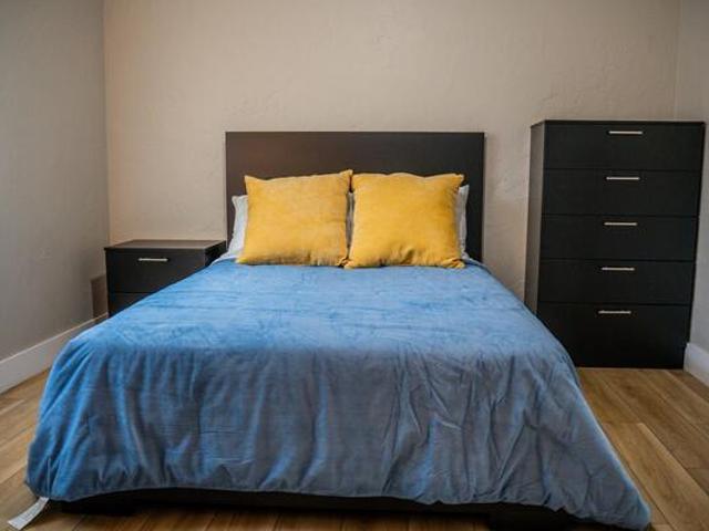 Beautiful & Modern Maitland House with Renovated Kitchen & Dining Area