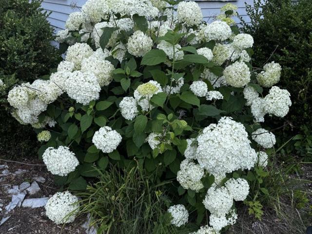 Beautiful North Greenbush home on safe quiet ngbh