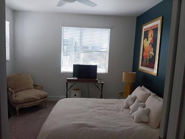 Beautiful new home