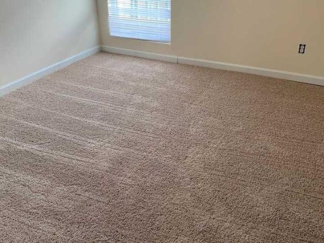 Beautiful & Spacious Apartments in the Heart of Metairie! 2 Bedroom Apartment for Rent at 4020 Hessmer Ave, Metairie, LA 70002