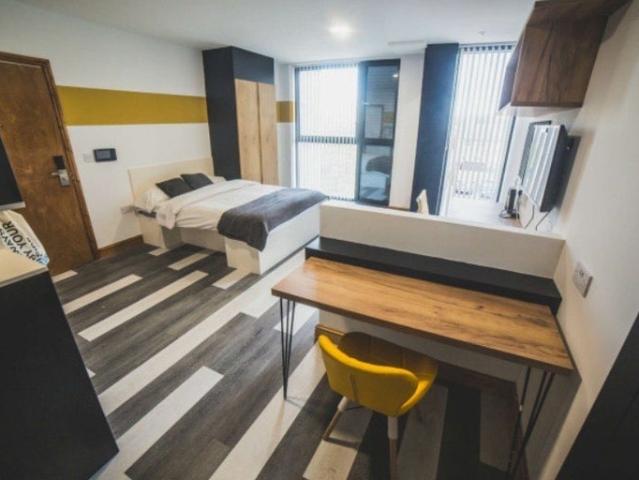 Beautiful & Spacious Gold Studio – Bills Included