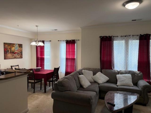 Beautiful spacious one bedroom for rent