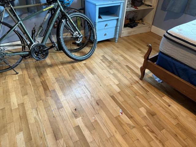 Beautiful room in south eugene neighborhood