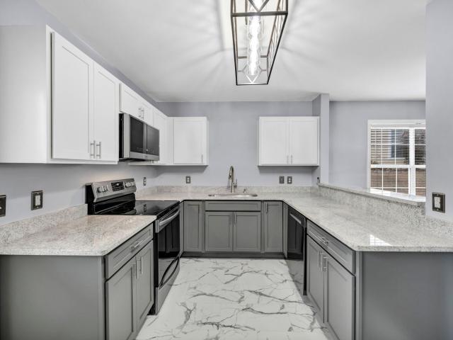 BEAUTIFULLY RENOVATED TWO BEDROOM IN CHAPIN