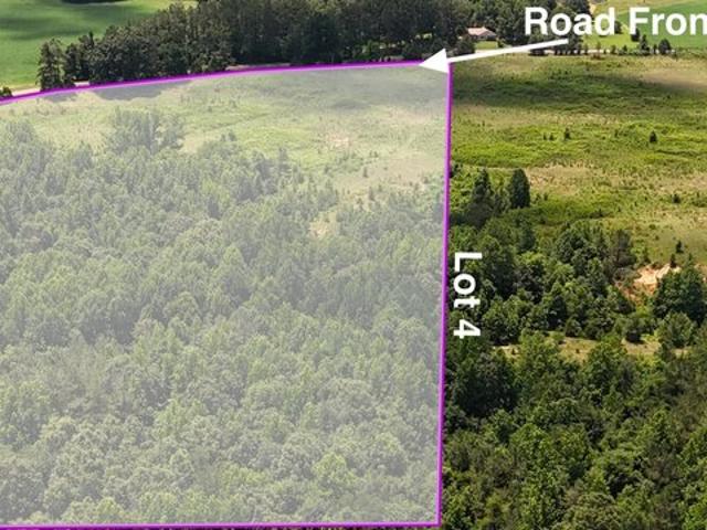 Beauty Hill Rd Lot 4, Bethel Springs, TN 38315