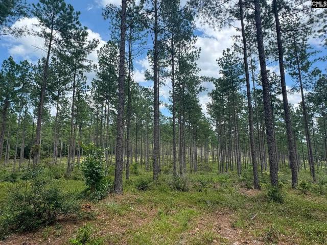 Beaver Creek Road Lot 1