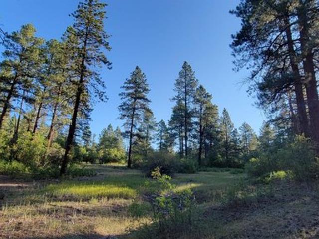 Beaver Creek Ranch Dr Lot 5, Bayfield, CO 81122