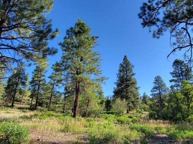 Beaver Creek Ranch Dr Lot 8, Bayfield, CO 81122