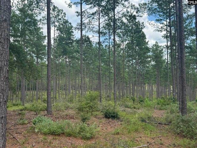 Beaver Creek Rd, Swansea, SC 29160