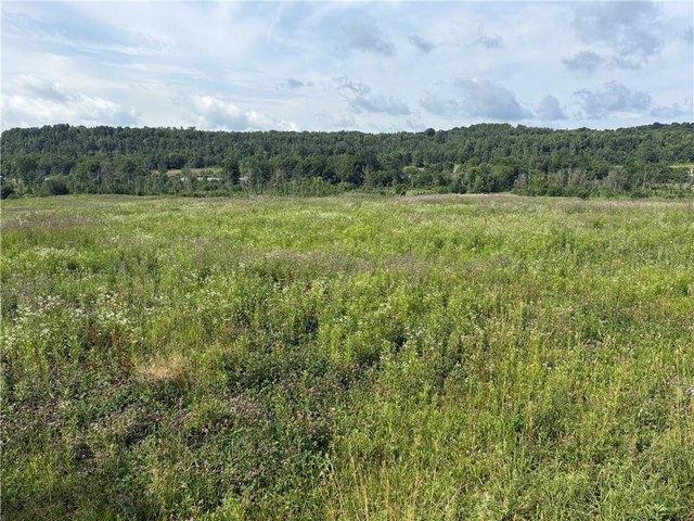 Beaver Dam Rd, New Galilee, PA 16141